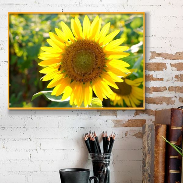hplusmall 8해바라기사진_A3골드알루미 WBF0BE7 - 핫트랙스