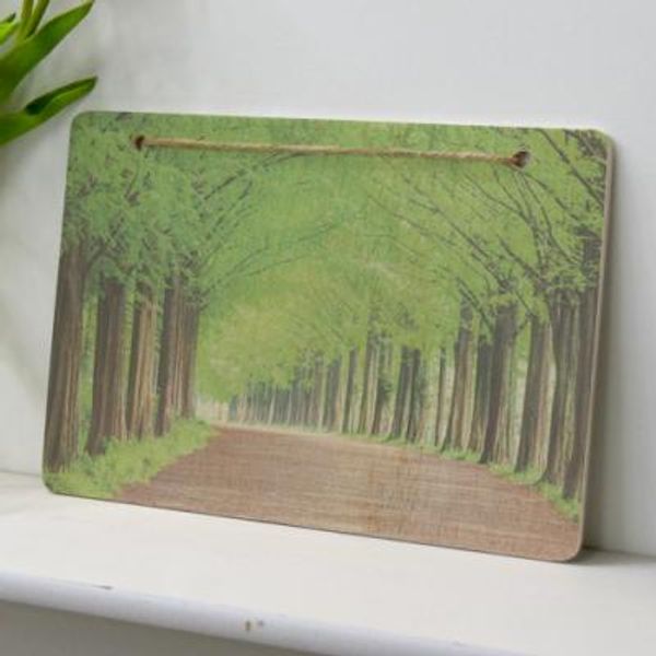 ggoomim pj923-우드행잉액자_메타세콰이어길 - 핫트랙스