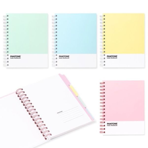 hplusmall 팬톤 4P 인덱스 노트 민트(W9B6635) - 핫트랙스