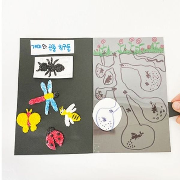 hplusmall 손전등 북아트-개미집 만들기 5인세트 - 핫트랙스