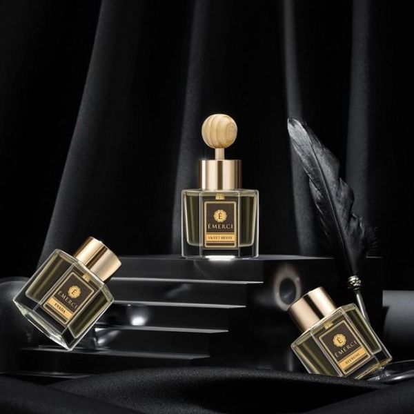 hplusmall 차량용 디퓨저 리프레쉬 50 WB62ED6 - 핫트랙스