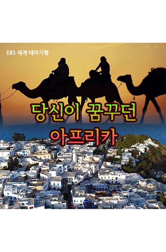 DVD EBS [스페셜] 당신이 꿈꾸던 아프리카 [주문제작상품] - 핫트랙스