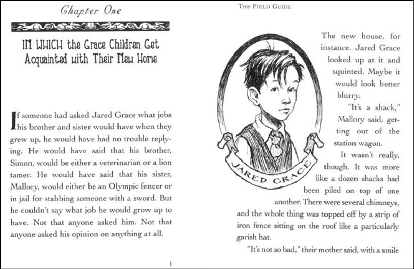 Spiderwick Chronicles #1: The Field Guide(Spiderwick Chronicles 1 ...