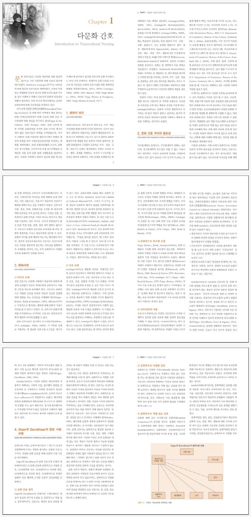 다문화 간호 | JOYCE NEWMAN GIGER - 교보문고