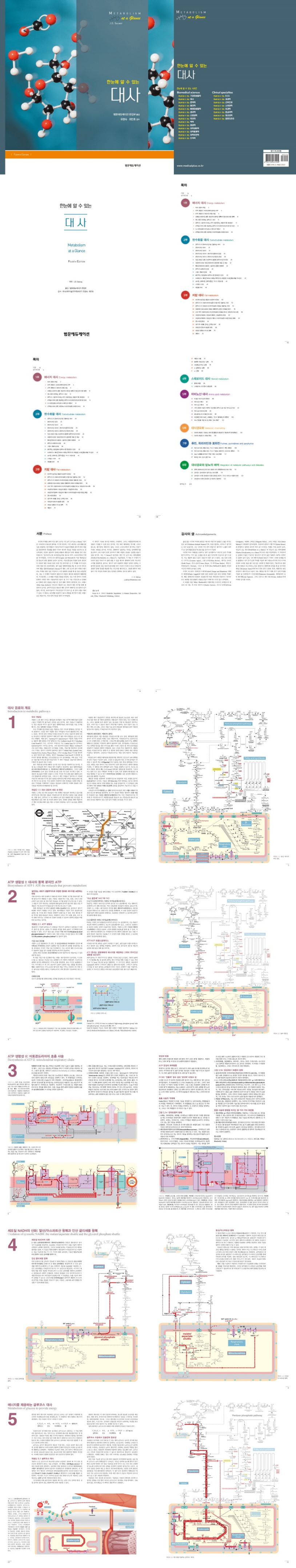 한눈에 알 수 있는 대사 | J.G. Salway - 교보문고