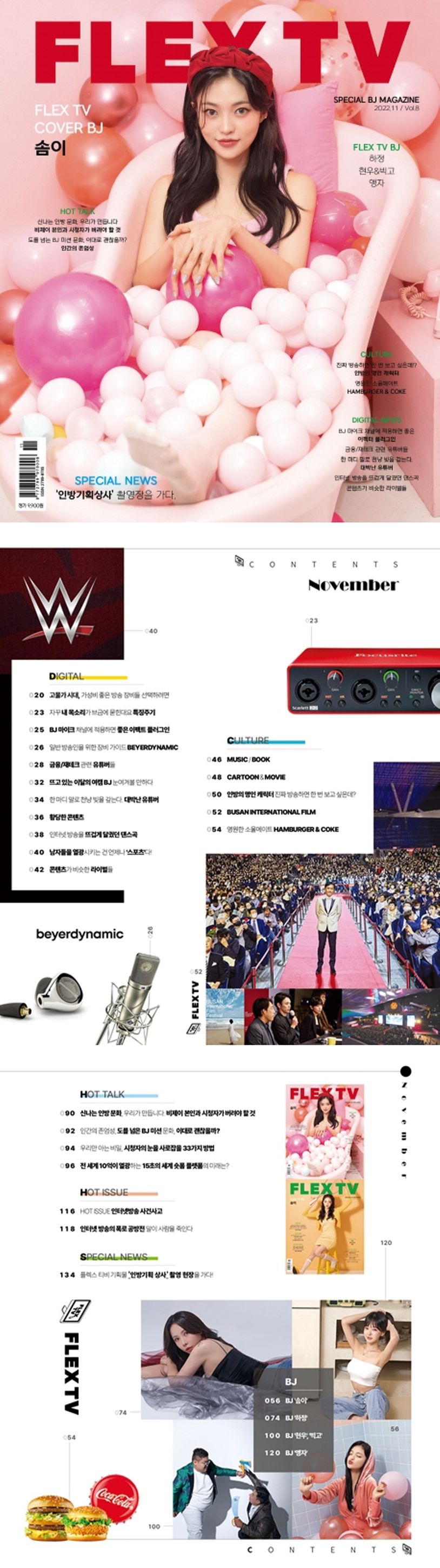플렉스 티비(FLEX TV)(2022년 11월호) | 플렉스이엔엠 편집부 - 교보문고