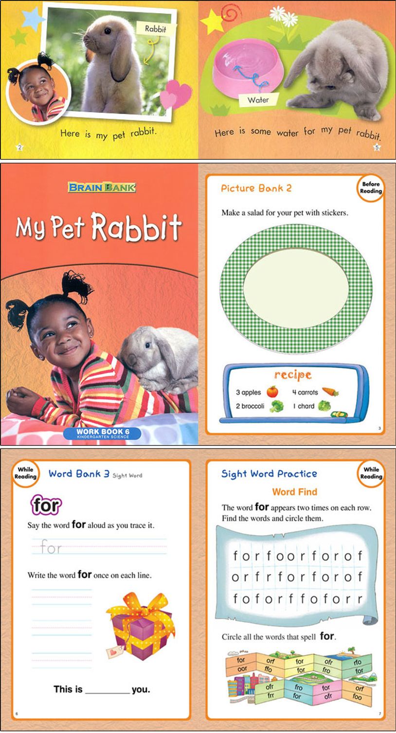 MY PET RABBIT 세트 | 월드컴 편집부 - 교보문고