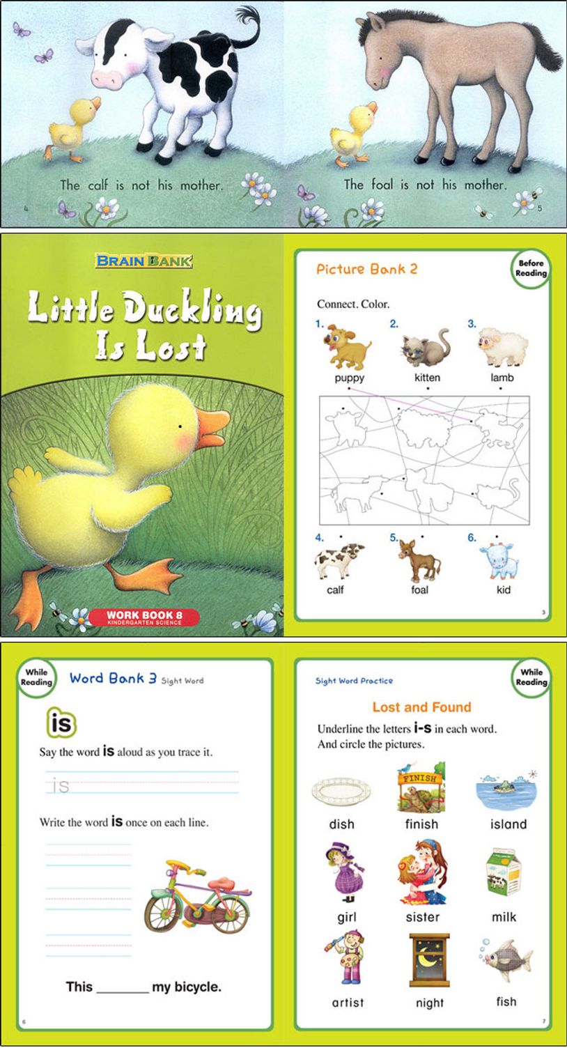 LITTLE DUCKLING IS LOST 세트 | 월드컴 편집부 - 교보문고