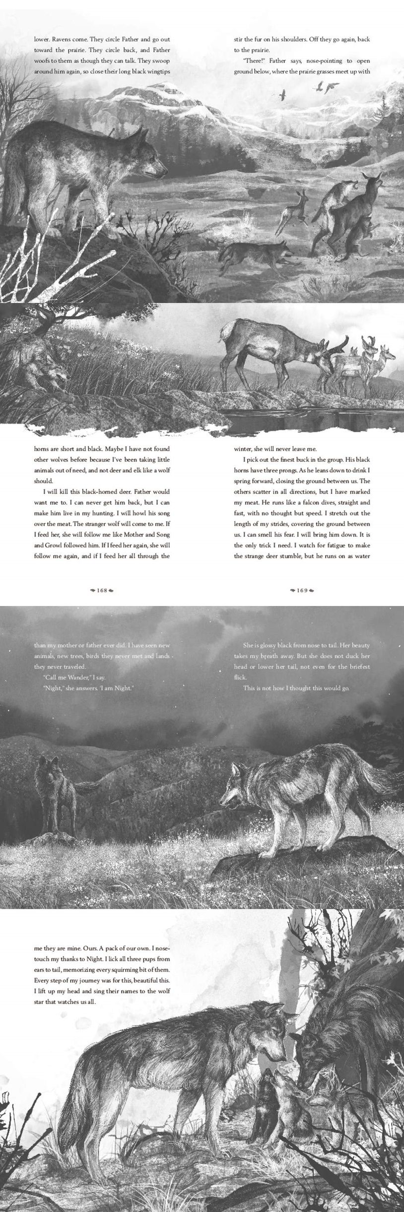 A Wolf Called Wander | Parry, Rosanne - 교보문고