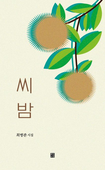 씨 밤 교보문고 꽃피는아침마을
